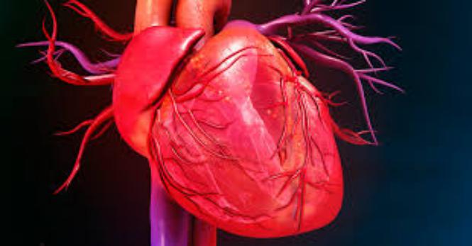 Encontre o melhor preço de pressat 2,5 mg 60 comprimidos aqui no ...