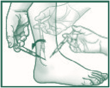 Bula do sportvis 12mg 1,2ml